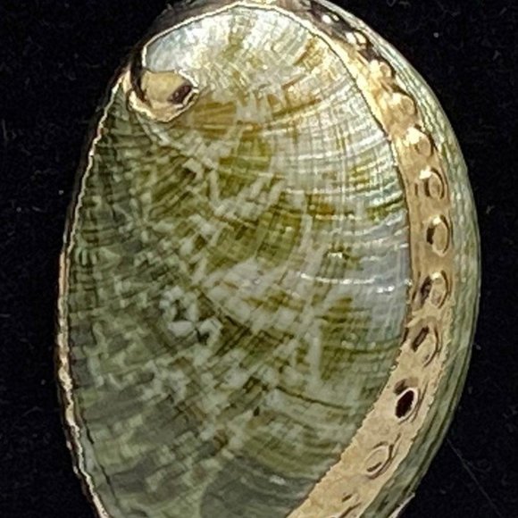 Handmade | Other | Vintage Abalone Shell Brushed 4k Gold Gilt Shell ...